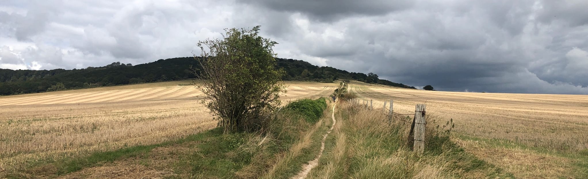 The Trundle And Devils Humps Circular West Sussex England 124 Reviews Map Alltrails