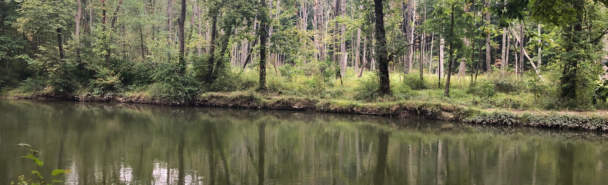 Sugar Run Trail, Pennsylvania - 99 Reviews, Map | AllTrails