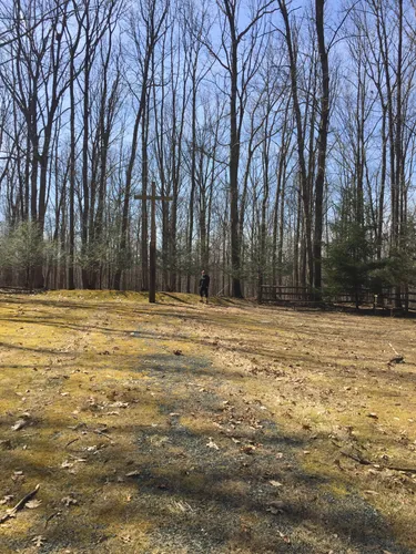 Best Hikes and Trails in BeeTree Preserve | AllTrails