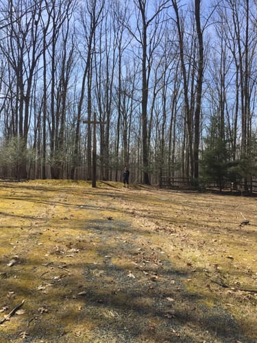 Best Hikes and Trails in BeeTree Preserve | AllTrails