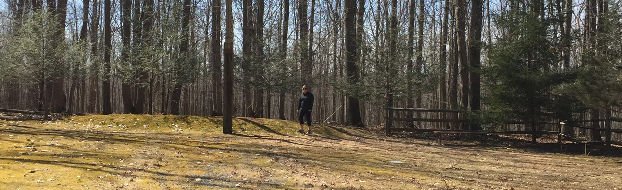 Beetree Preserve Orange Trail , Maryland - 35 Reviews, Map | AllTrails