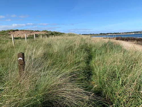 Best Beach Trails in Tain | AllTrails