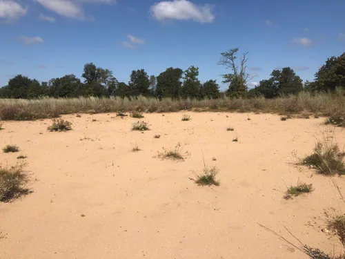 Best Hikes and Trails in Sand Prairie Conservation Area | AllTrails
