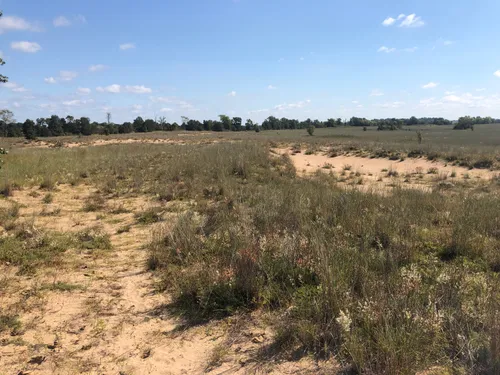 Best Hikes and Trails in Sand Prairie Conservation Area | AllTrails