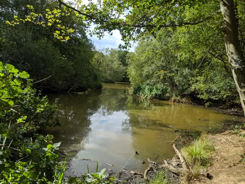 10 Best Walking Trails in Epping Forest | AllTrails