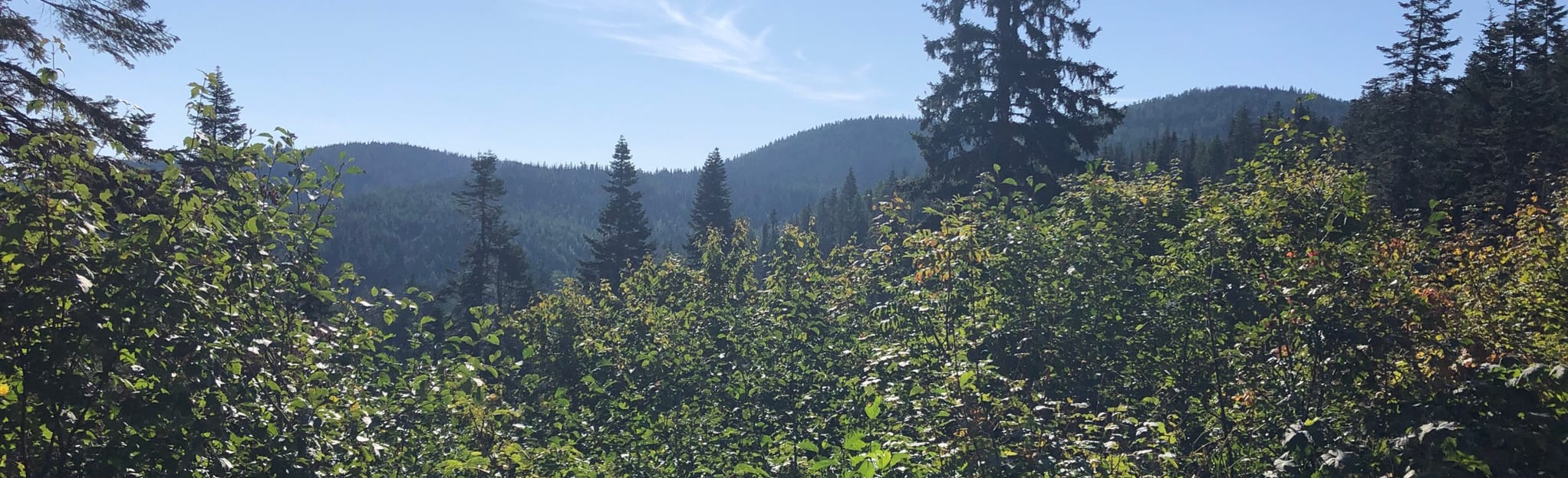 Mount Spokane to Twin Lakes, Washington - 14 Reviews, Map | AllTrails