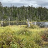 Nancy Pond, New Hampshire - 47 Reviews, Map | AllTrails