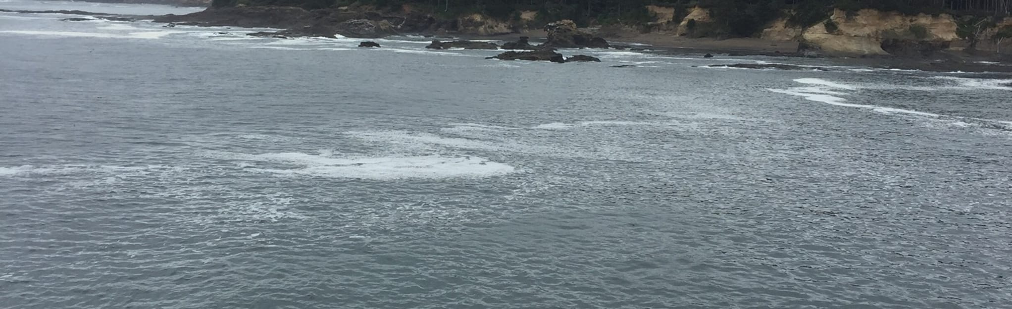 Boiler Bay State Scenic Viewpoint : 27 Photos - Oregon | Randonnée ...