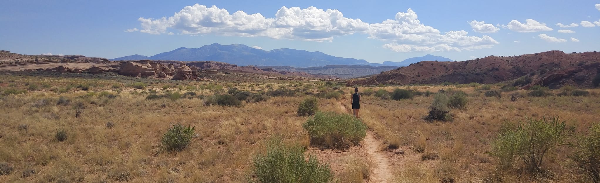 Burro Wash Trail, Utah - 202 Reviews, Map | AllTrails