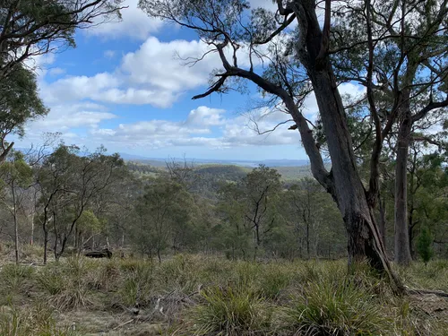 Best Hikes and Trails in Mount Direction Historic Site | AllTrails