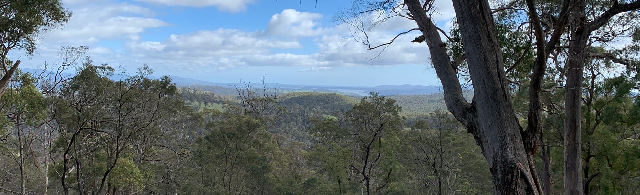 Mount Direction Track, Tasmania, Australia - 90 Reviews, Map | AllTrails