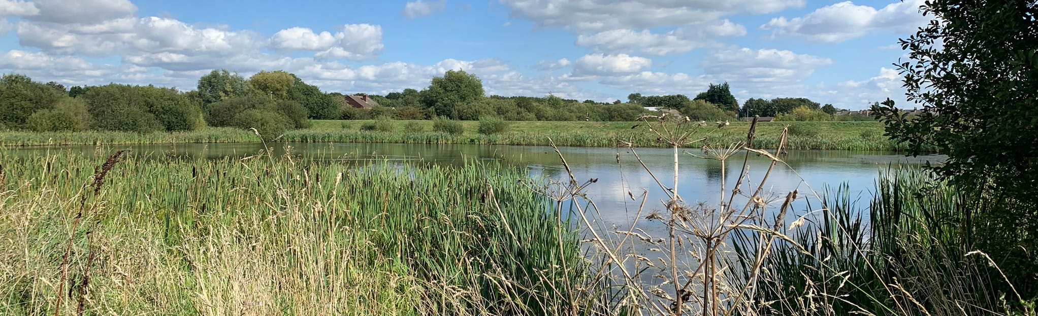 RSPB St. Aidan's and Lowther Lake Circular, West Yorkshire, England ...