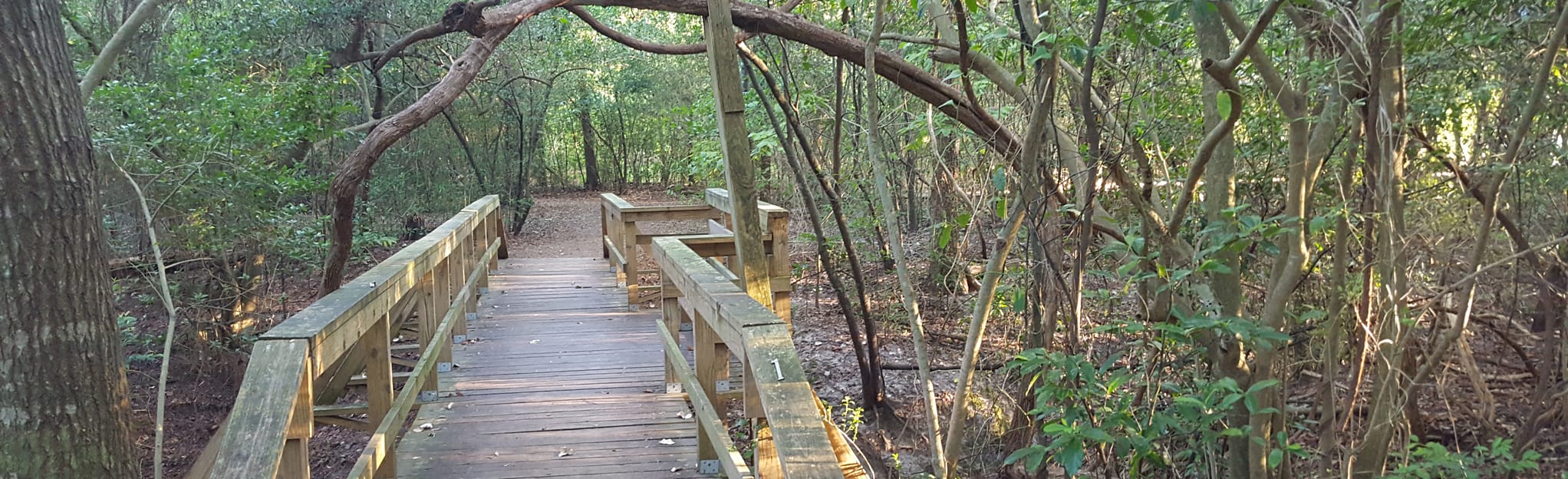 Edith L. Moore Nature Sanctuary: 184 Reviews, Map - Texas | AllTrails