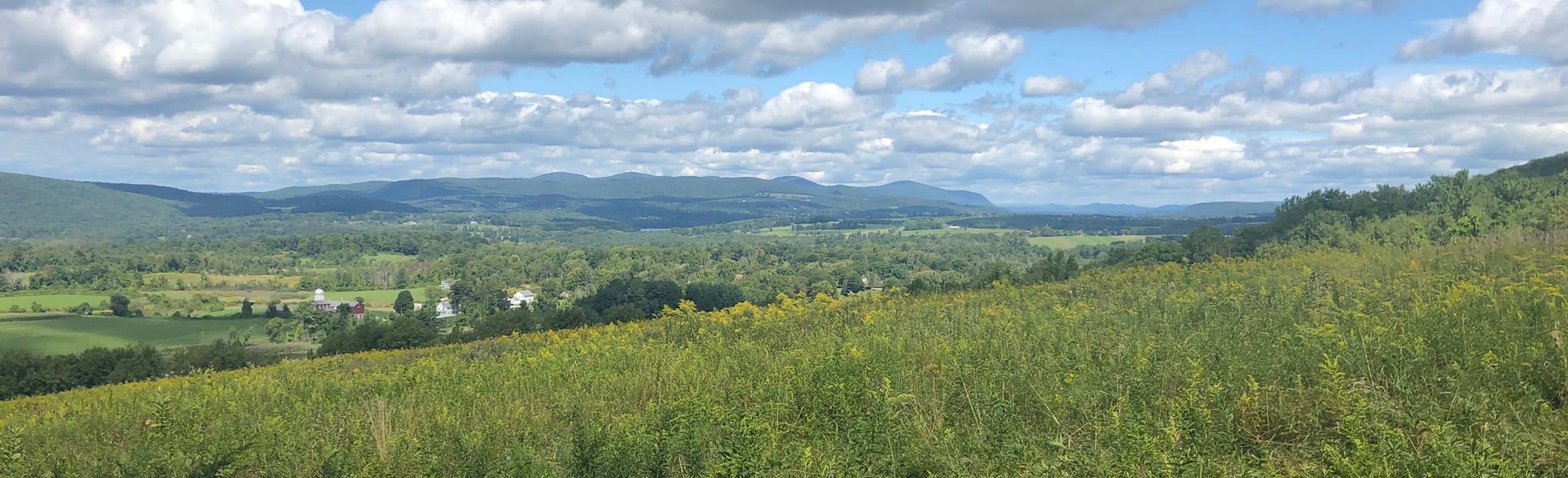 Red Mountain Trail, Connecticut - 22 Reviews, Map | AllTrails