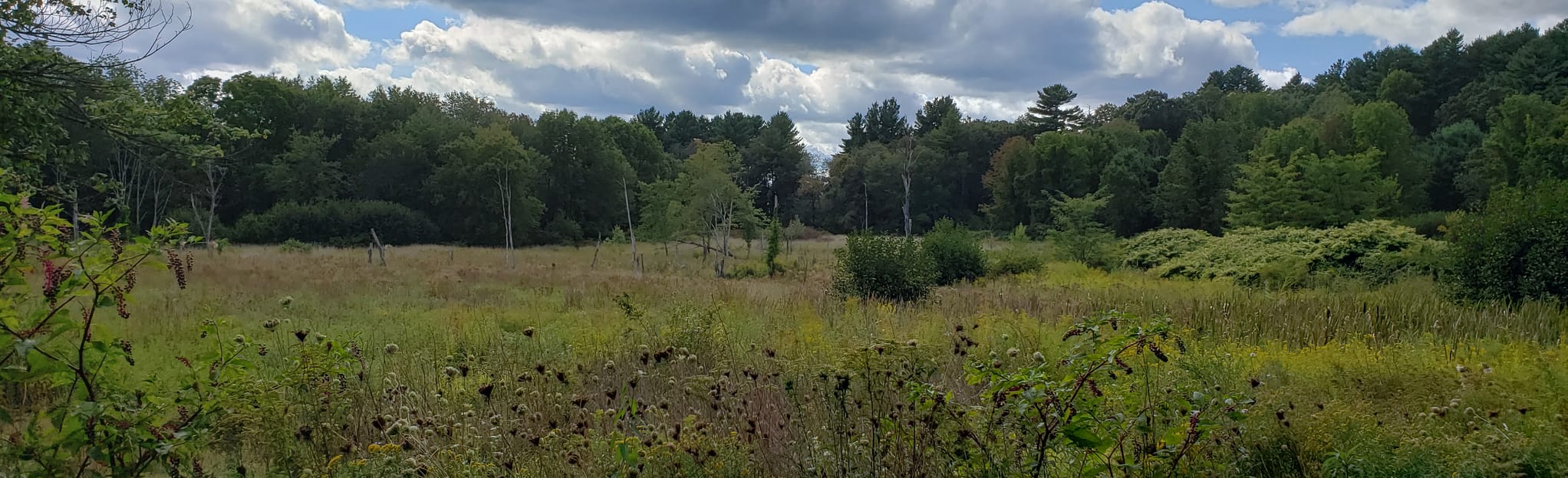 Marble Hill White and Yellow Loop , Massachusetts - 82 Reviews, Map ...