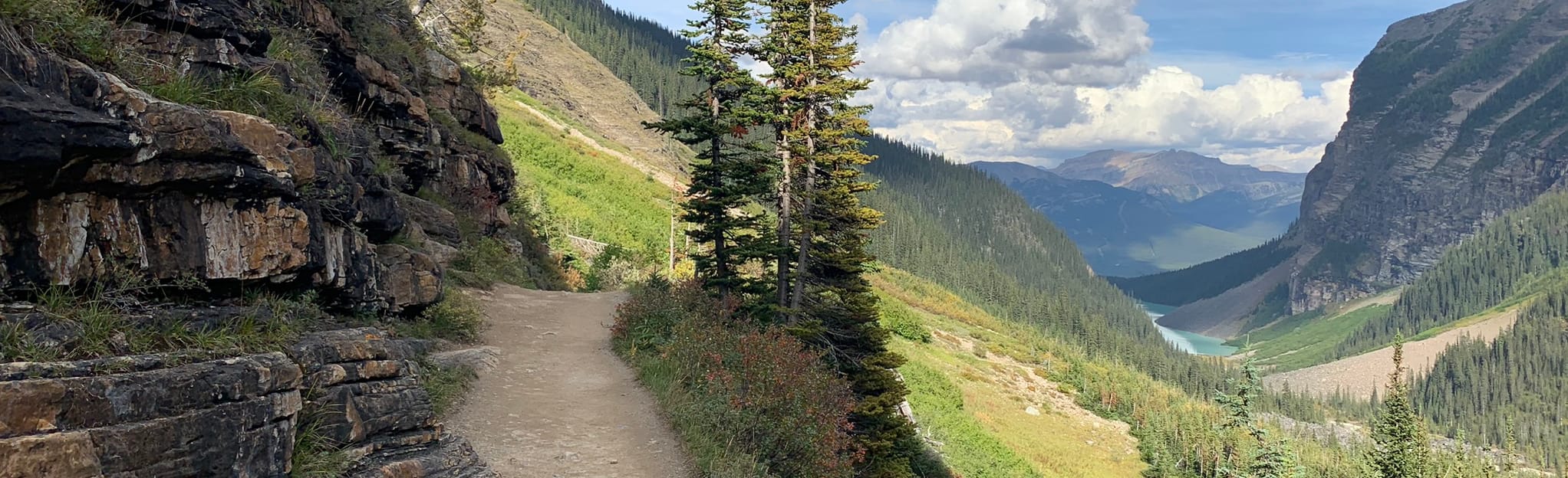 The Tea Houses Trail, Alberta, Canada - 1,242 Reviews, Map | AllTrails