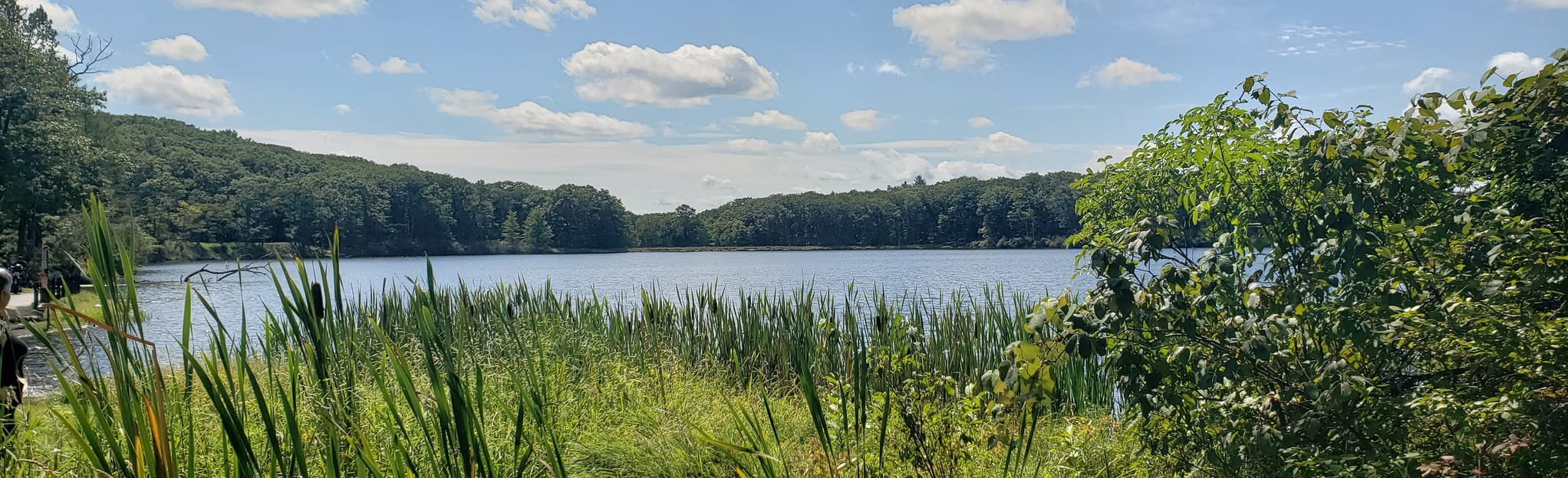 Pine Swamp Mountain and Hogencamp Mountain Loop, New York - 1,148 ...