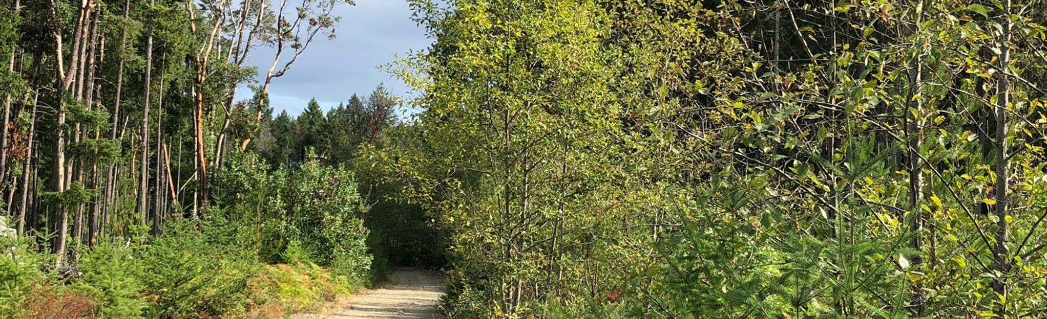 Nanoose Bay Loop, British Columbia, Canada - 185 Reviews, Map | AllTrails