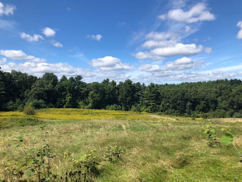Best 10 Hikes and Trails in Callahan State Park | AllTrails