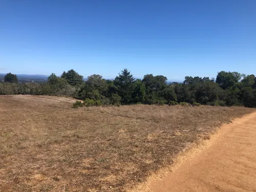 Best 10 Hiking Trails in Pogonip Open Space Preserve | AllTrails