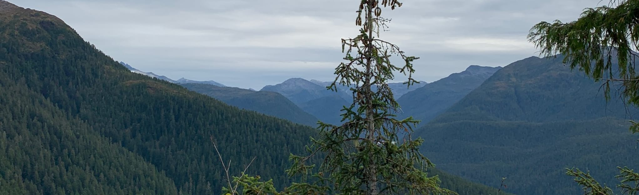 Bear Lake Trail: 12 Reviews, Map - Alaska | AllTrails