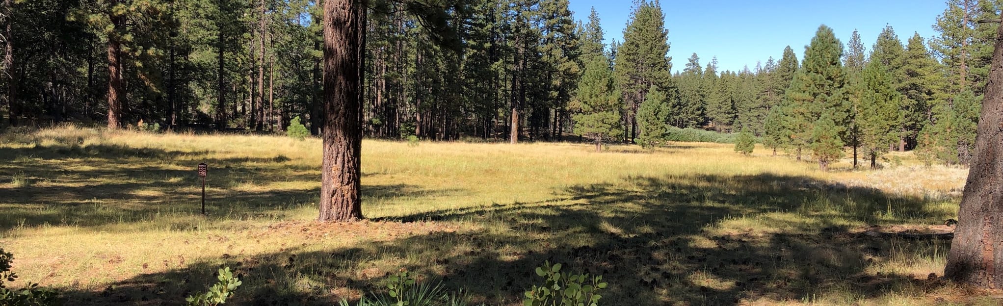 Piute Mountain OHV Trail: 31 Reviews, Map - California | AllTrails