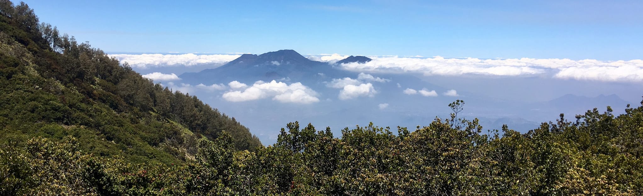 Mount Welirang, East Java, Indonesia - 12 Reviews, Map | AllTrails