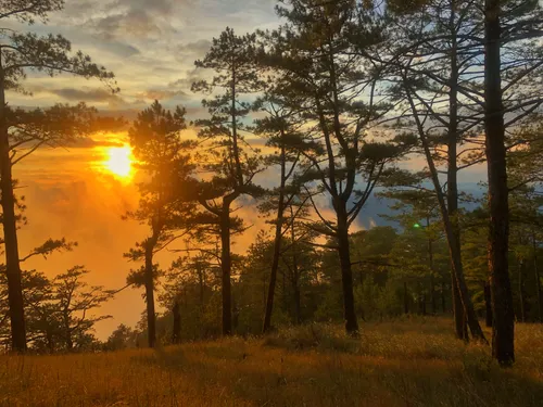 Best Hikes and Trails in Mt. Pulag National Park | AllTrails