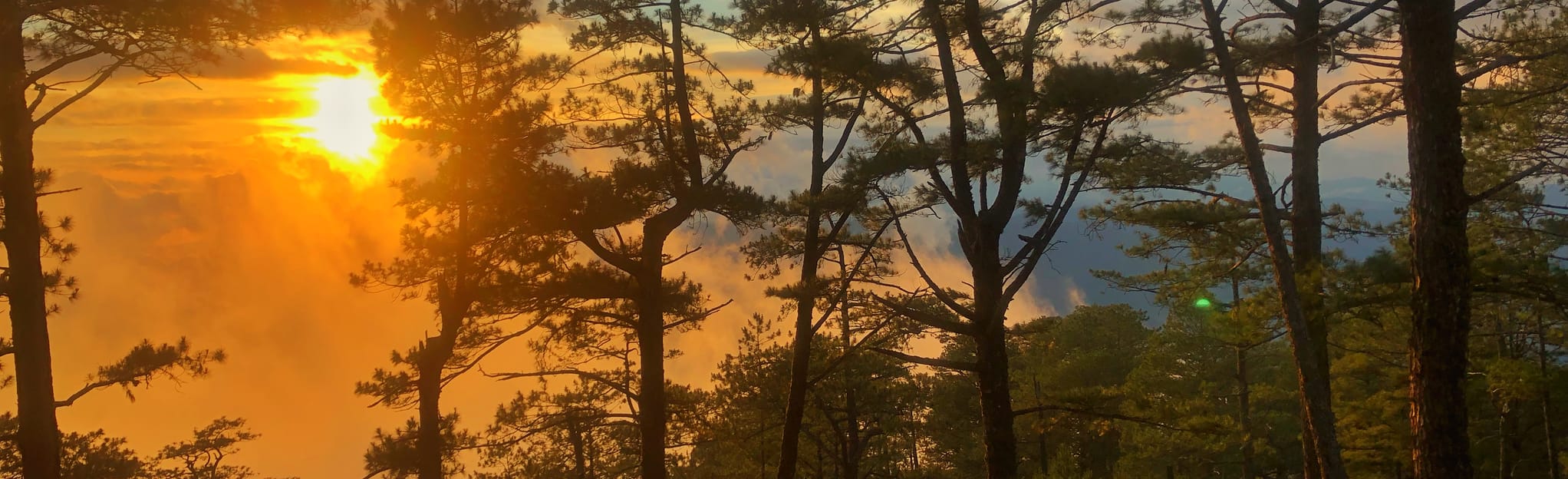 Mount Ugo - Kayapa, Benguet, Philippines - Map, Guide | AllTrails