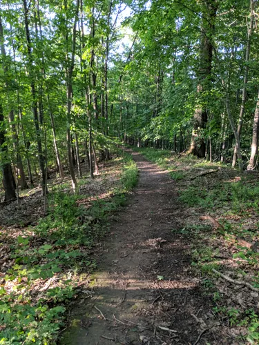 Best Hikes and Trails in Esopus Bend Nature Preserve | AllTrails