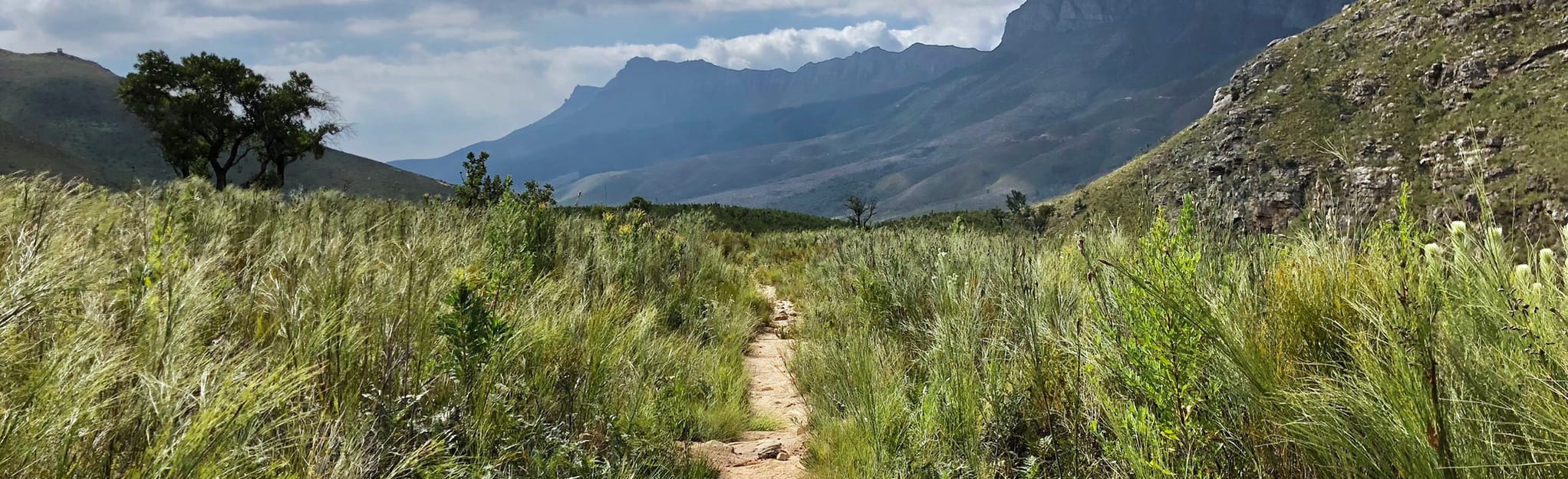 Swart Boskloof, Western Cape, South Africa - Map, Guide | AllTrails