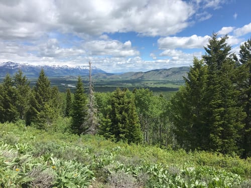 2023 Best 10 Trail Running Trails in Bridger-Teton National Forest ...