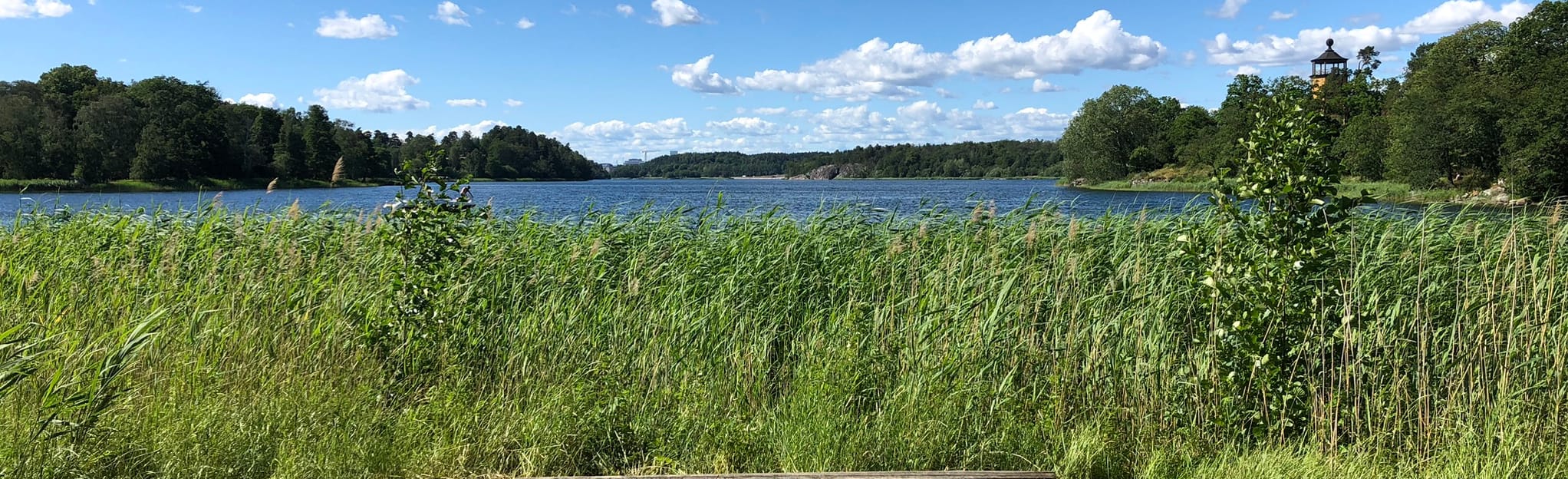 Brunnsviken Loop: 109 Reviews, Map - Stockholm, Sweden | AllTrails
