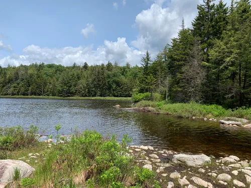 10 Best Hikes and Trails in Ferris Lake Wild Forest | AllTrails