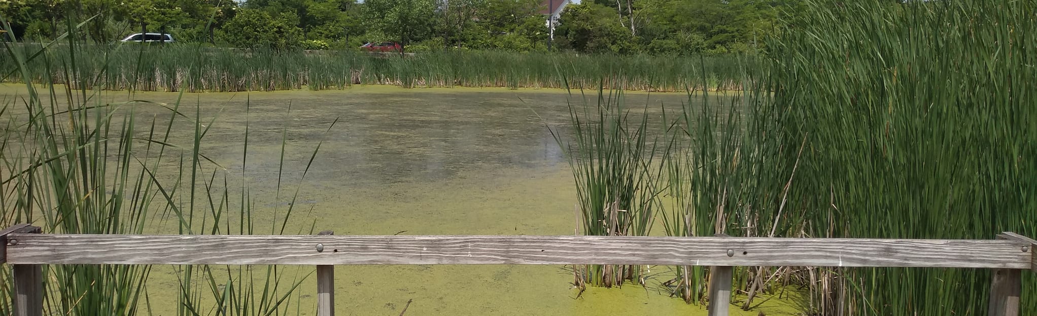 Spring Valley Nature Sanctuary Loop, Illinois - 362 Reviews, Map ...