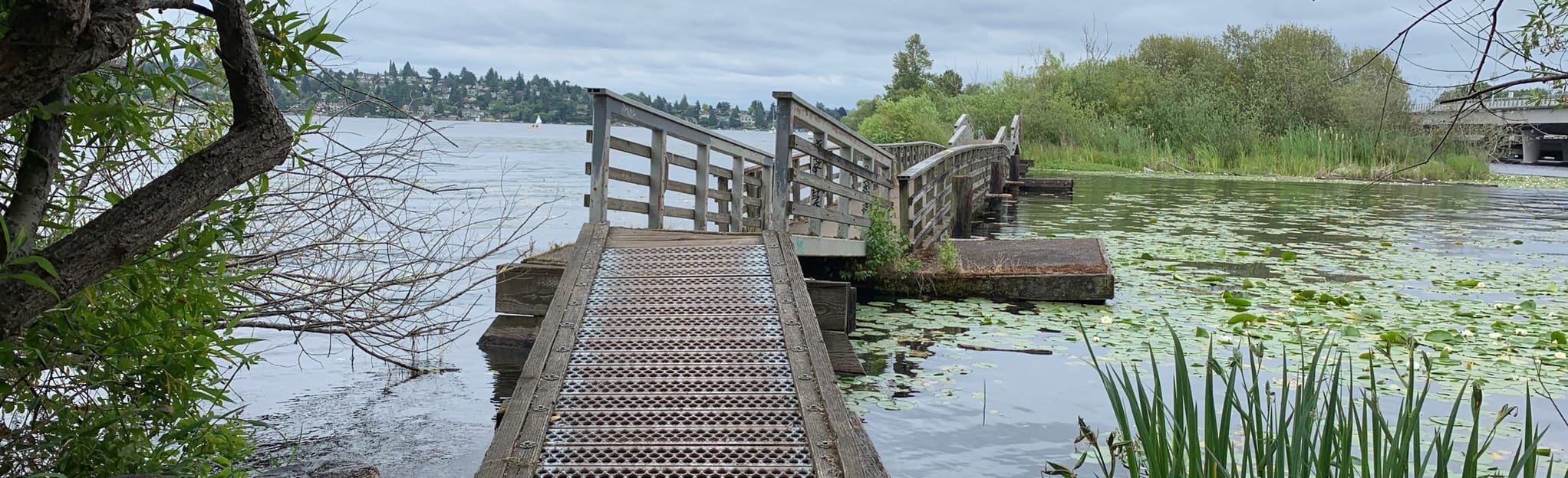 Foster Island Trail, Washington - 549 Reviews, Map | AllTrails