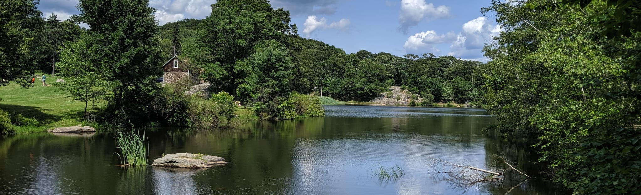 Silas Condict Park White Trail, New Jersey - 1,049 Reviews, Map | AllTrails