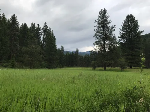 10 Best Hikes and Trails in Rattlesnake National Recreation Site ...