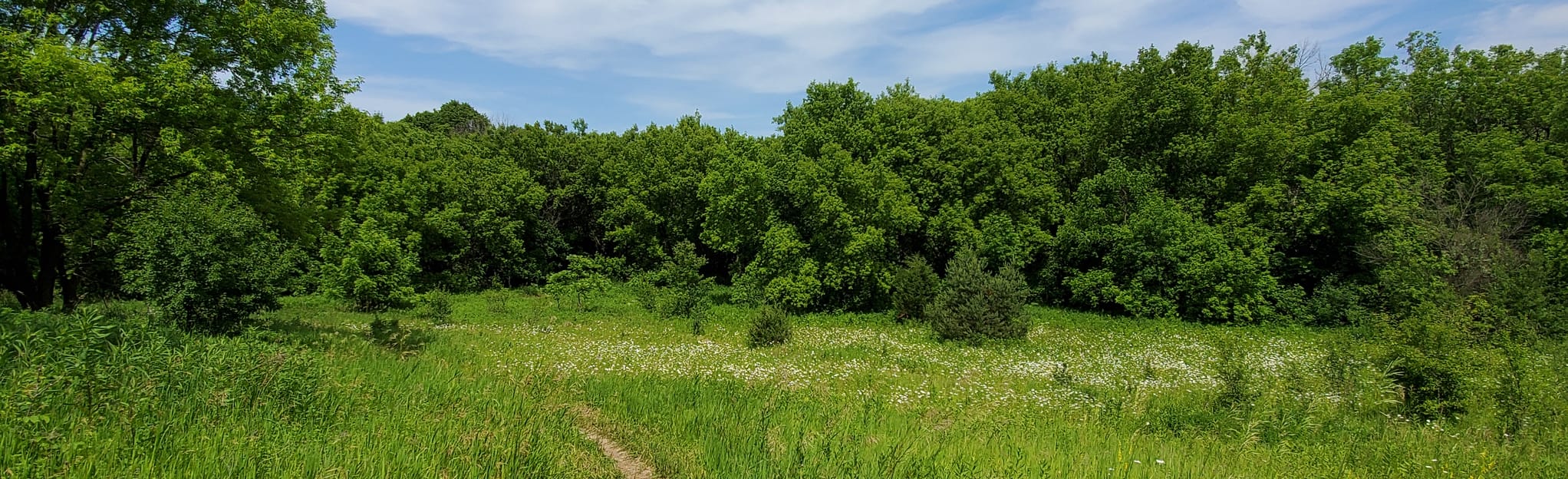 Alpha Trail Loop, Wisconsin - 404 Reviews, Map | AllTrails