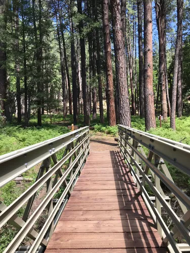 10 Best Trails and Hikes in Pine | AllTrails