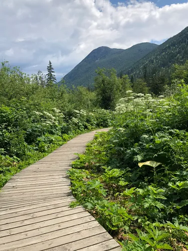 Best 10 Hikes and Trails in Mount Revelstoke National Park | AllTrails