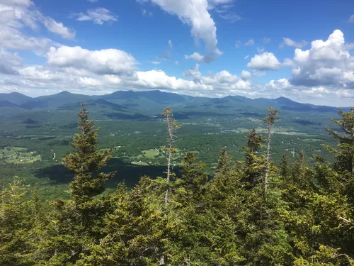 Best 10 Hikes and Trails in CC Putnam State Forest | AllTrails