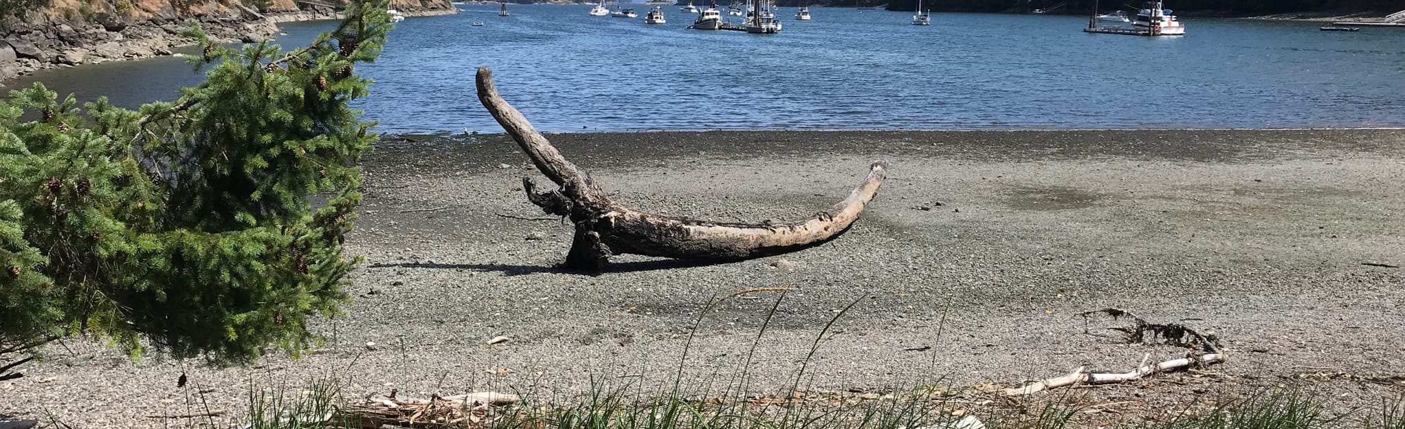 Stuart Island School, Washington - 107 Reviews, Map | AllTrails