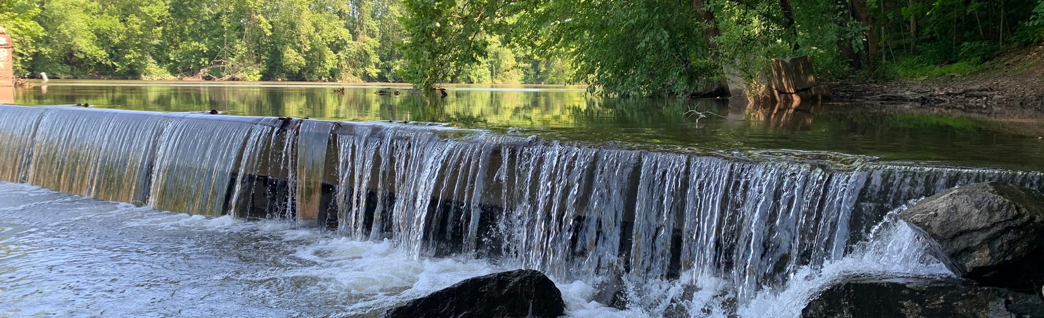 Neal Thorpe Loop, Pennsylvania - 824 Reviews, Map | AllTrails