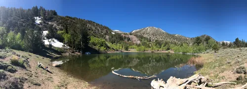 10 Best Trails and Hikes in Reno | AllTrails