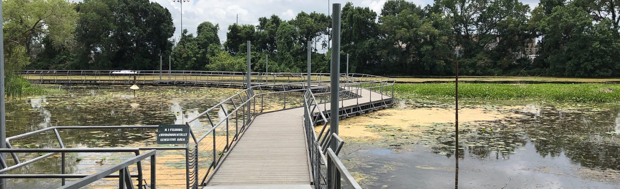 Spring Lake Wetlands Walk : 40 Photos - Texas | Randonnée | AllTrails