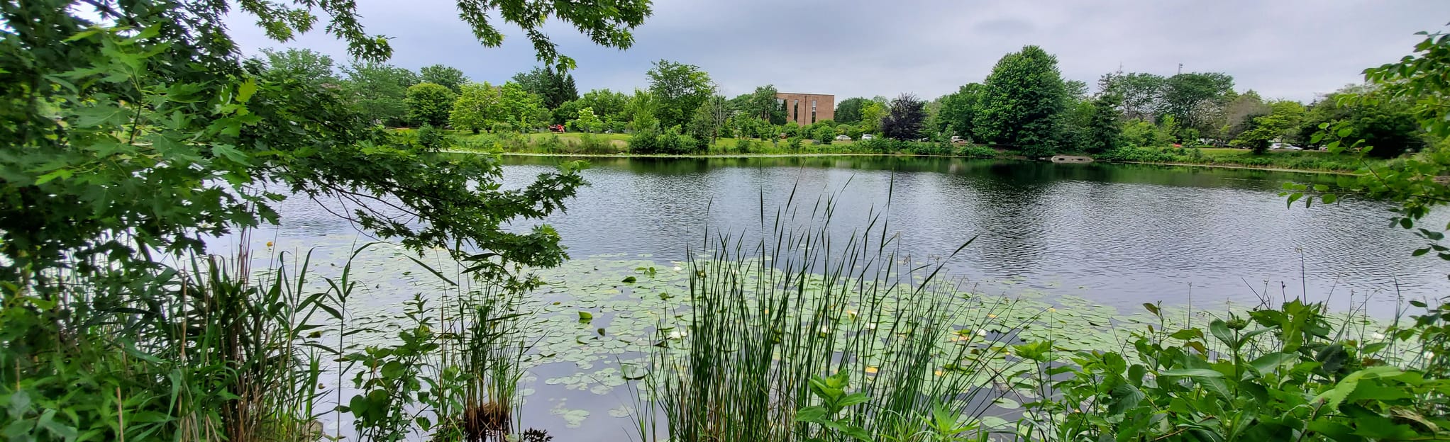 Lake Katherine Loop Trail, Illinois - 178 Reviews, Map | AllTrails