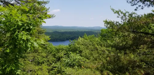Best Hikes and Trails in Bald Pate Mountain Preserve | AllTrails