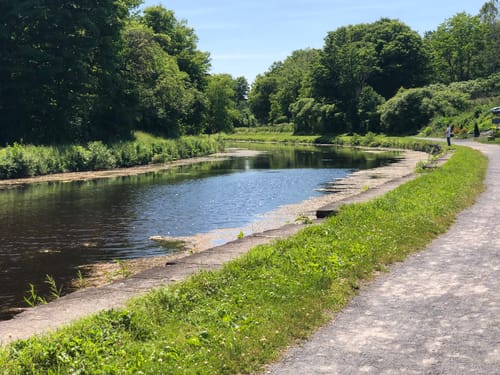 2023 Best Forest Trails in Camillus | AllTrails
