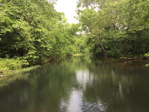 2023 Best trails in Bennett Spring State Park | AllTrails